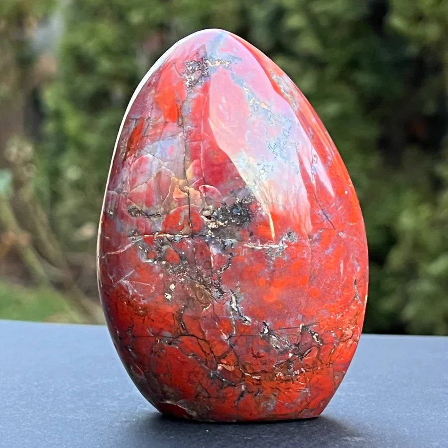 JASP: benefits, properties, meaning – DRUZY