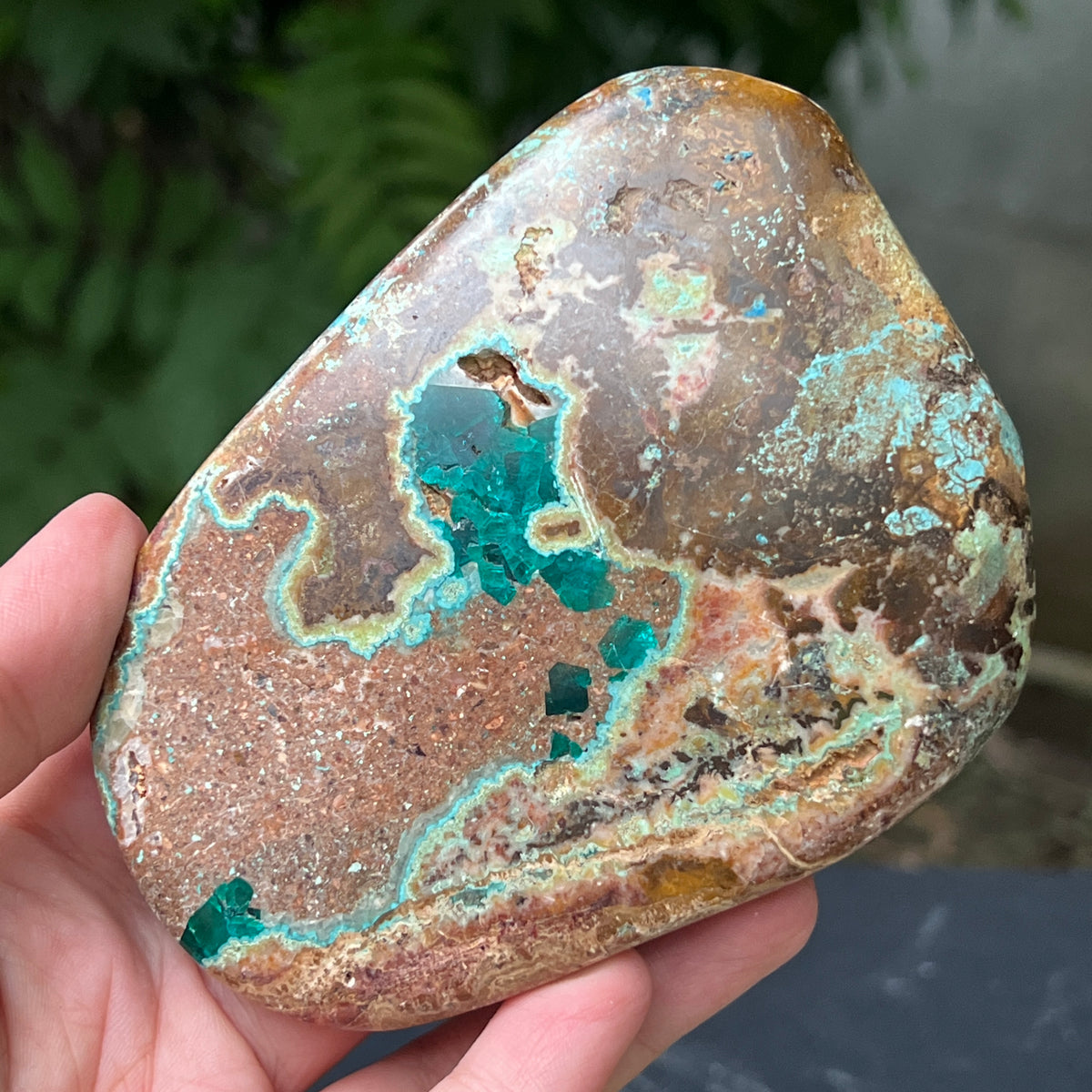 Specimen chrysocola with diopaz – DRUZY